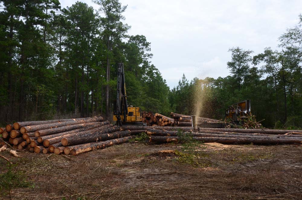 Since 1949, over $730,000 has been generated for the Former Student ...